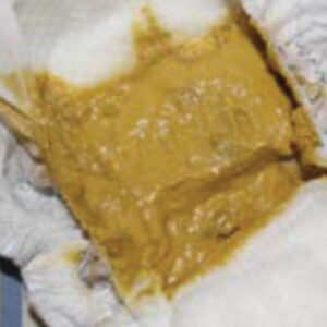 The Scoop on Poop – Oklahoma Wic